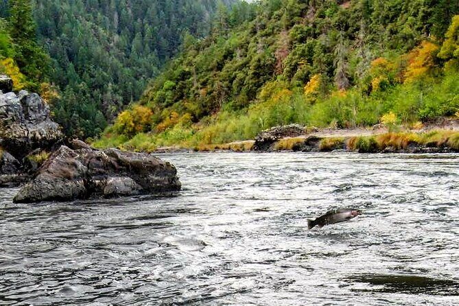 Whitewater Fishing and Rafting Experience in Rogue River - What Makes This Tour Stand Out?