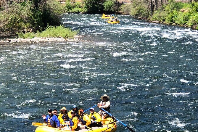 Whitewater Rafting on The McKenzie River - Why This Tour Offers Excellent Value