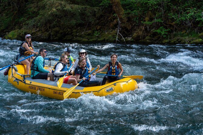 Whitewater Rafting on The McKenzie River - The Sum Up