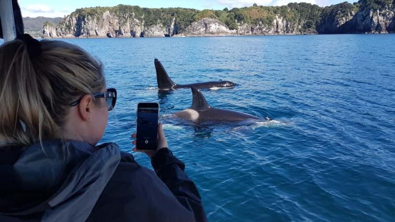 Whitianga: 2-Hour Cathedral Cove and Volcanic Coast Cruise - Key Points