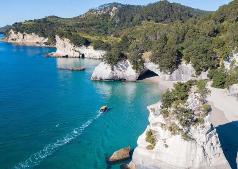 Whitianga: 2-Hour Glass Bottom Boat Cathedral Cove Tour - Embarking on the Journey: From Harbour to Coastal Highlights