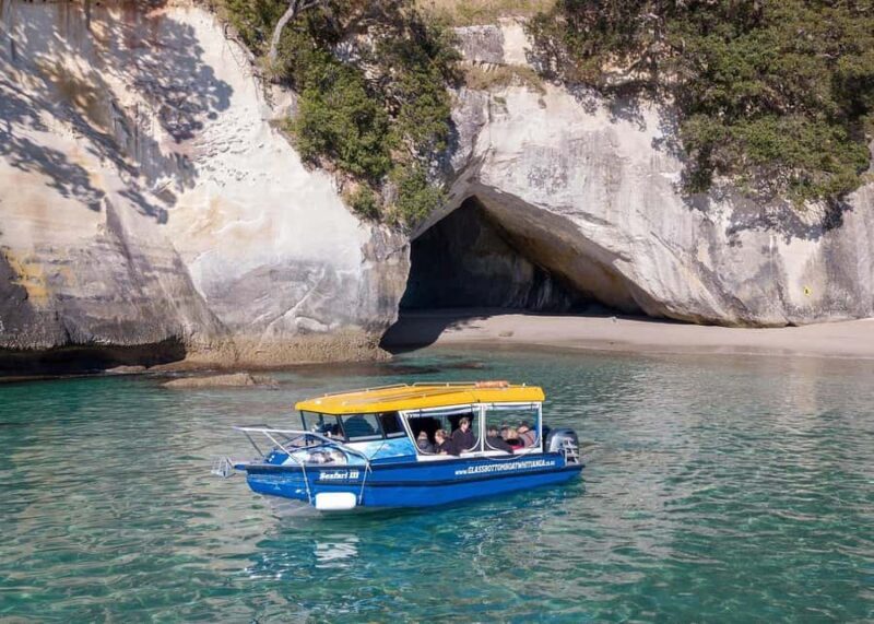 Whitianga: 2-Hour Glass Bottom Boat Cathedral Cove Tour - The Crown Jewel: Cathedral Cove and Marine Reserve