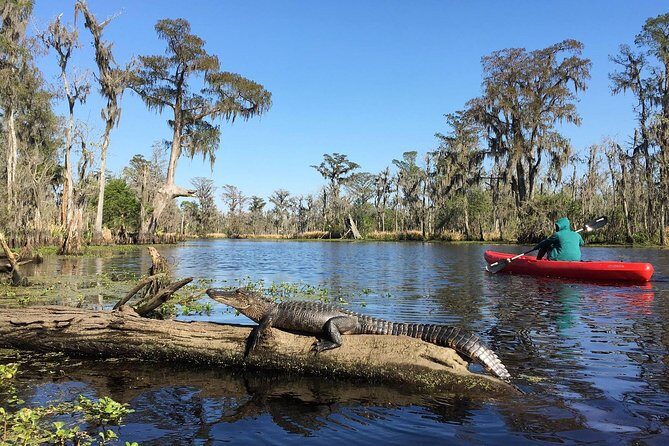 Whitney Plantation and Manchac Swamp Kayak Tour Combo - Discover Louisiana’s Hidden Gems with the Whitney Plantation and Manchac Swamp Kayak Tour Combo