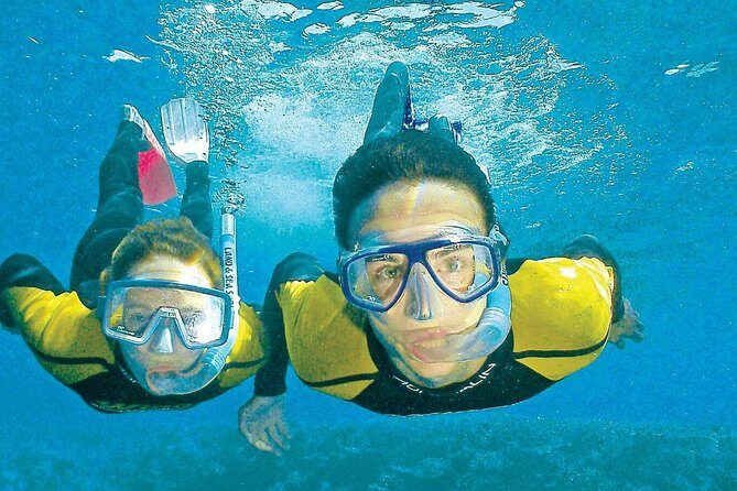 Whitsunday Islands Sail, SUP & Snorkel Tour- Small group - The Sum Up