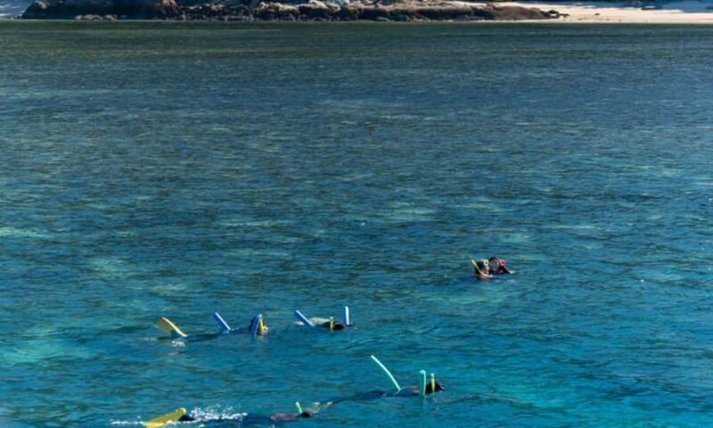 Whitsunday: Whitsunday Islands Tour with Snorkeling & Lunch - Practicalities and Tips for Travelers