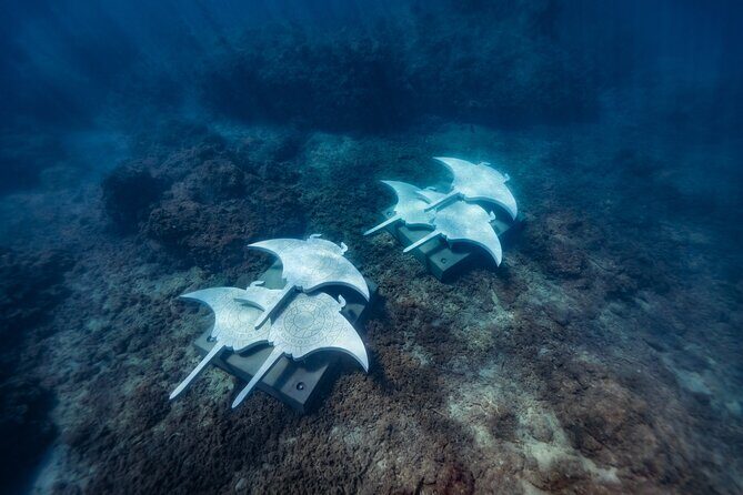 Whitsundays Premium Private Charter - Axopar 37 'Cheeky' - Who Will Love This Tour?