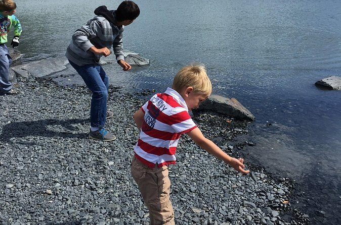 Whittier to Anchorage Sightseeing with Wildlife Tour - Who Is This Tour Best Suited For?