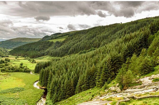 Wicklow and Glendalough Private Chauffeured Sightseeing Tour - Who Will Love This Tour?