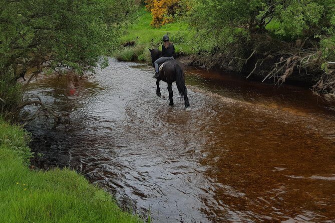 Wicklow Mountains Horse Trekking - The Tour Breakdown: What to Expect