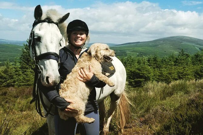 Wicklow Mountains Horse Trekking - Who Will Love This Tour?