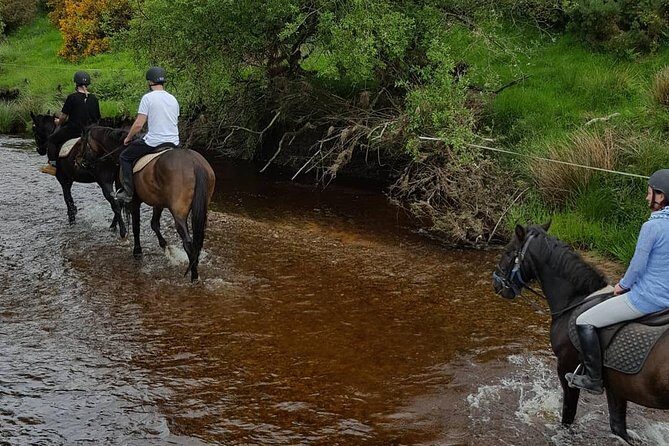 Wicklow Mountains Horse Trekking - FAQ