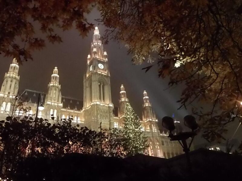 Wien: Tour with locals on the trails of the Christmas Tree - The value of this experience