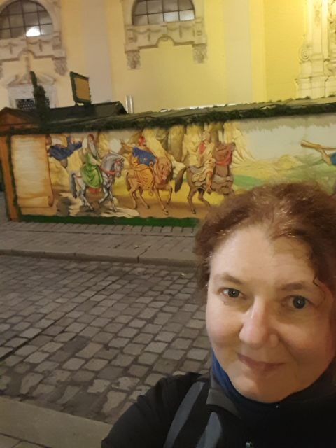 Wien: Tour with locals on the trails of the Christmas Tree - The Sum Up