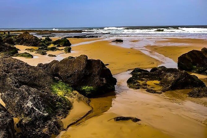 Wild and Wonderful West Coast Full Day Tour - FAQ