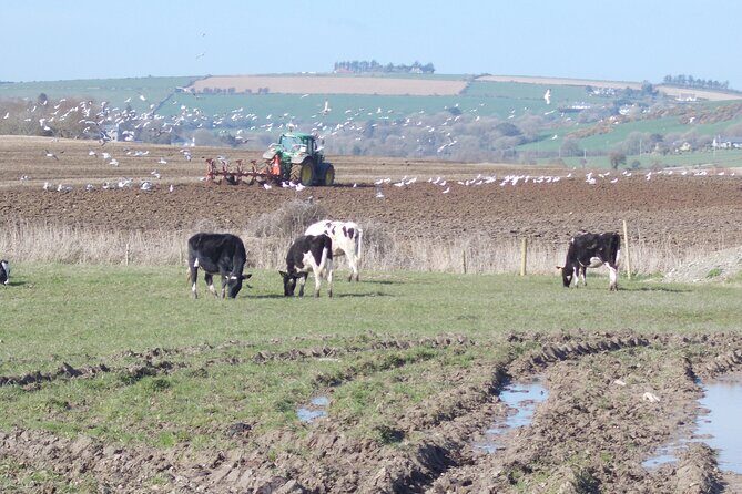 Wild Coast Bike and EBike Tour in Kinsale Cork Ireland - Final Thoughts