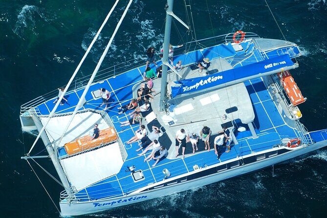 Wild Dolphin Watch in Glenelg - Who Will Love This Experience?