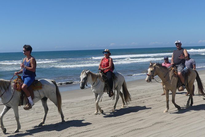 Wild & Free: Lagoon Boat, Beach Horseback, Crocs & Turtle Release - Final Thoughts