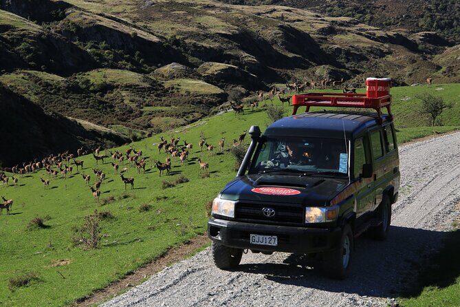 Wild Hills Off Road Safari - Who Will Love This Tour?