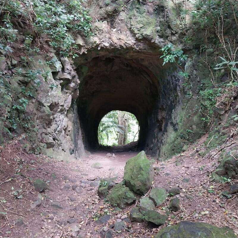 Wild Immersion : Hiking in the Heart of the Tropical Forest - Analyzing Value and Cost