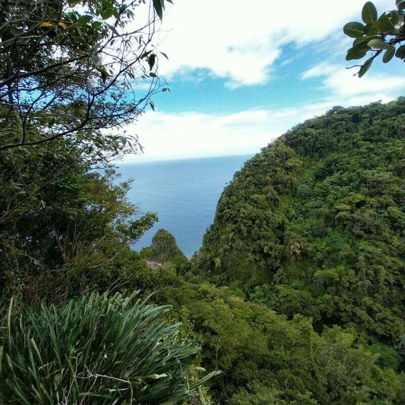 Wild Immersion : Hiking in the Heart of the Tropical Forest - Final Thoughts