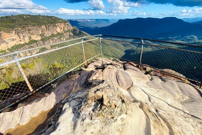 Wild Kangaroos, Blue Mountains and a Cruise - A Complete Breakdown of the Itinerary