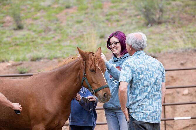 Wild Mustang Experience Near Colorado Springs - An In-Depth Look at the Wild Mustang Experience