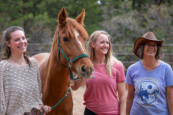 Wild Mustang Experience Near Colorado Springs - Final Thoughts