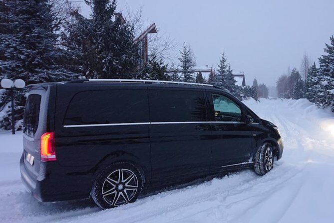 Wild Reindeers Safari + Lunch in Glass Igloo (private service) - What Reviewers Say