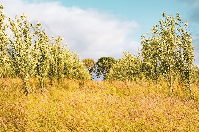 Wild West Wine and Cider Experience - FAQs