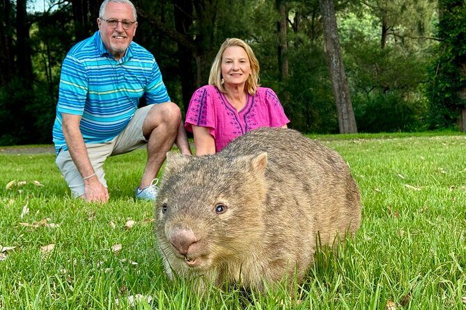 WILD Wombat and Kangaroo Day Tour, All Inclusive - Key Points