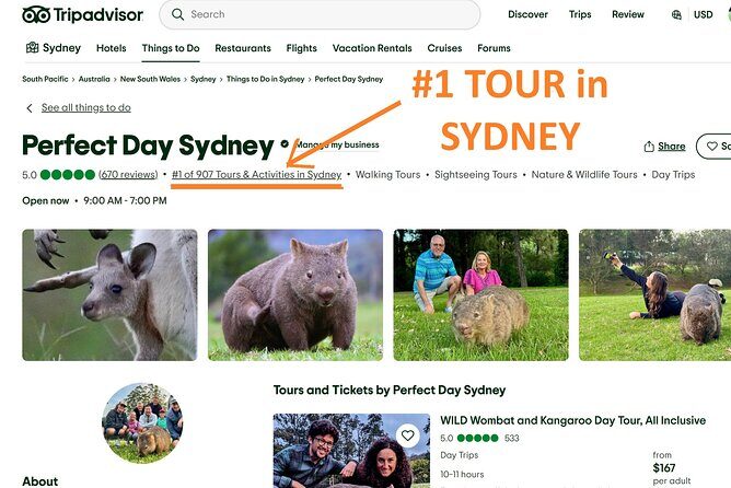 WILD Wombat and Kangaroo Day Tour, All Inclusive - An In-Depth Look at the Itinerary