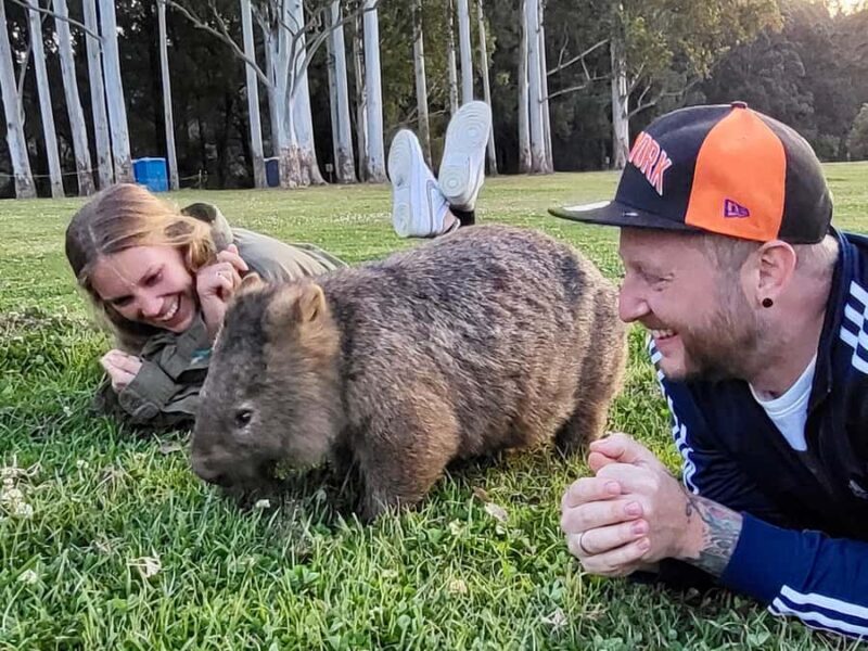 WILD Wombats and Kangaroo Experience, All Inclusive, Sydney - An In-Depth Look at the Tour Experience