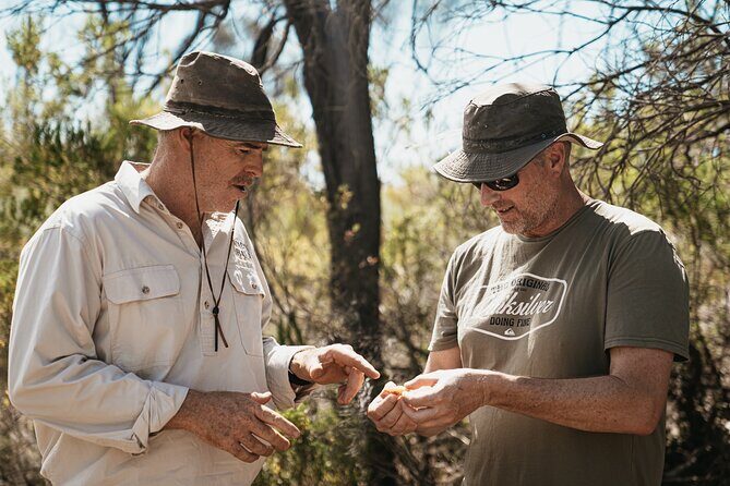 Wild Yarnbala - Live Didgeridoo & Guitar Performance