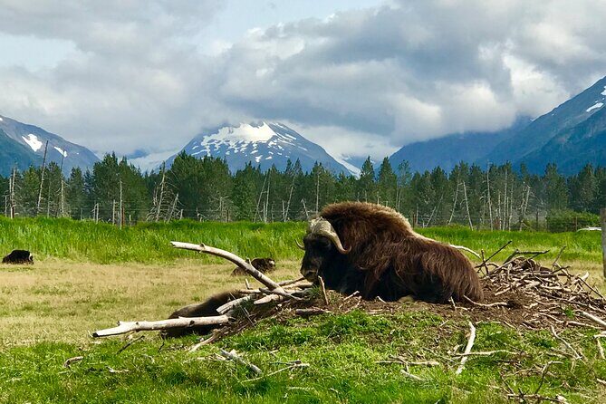 Wilderness and Wine Tasting out of Anchorage - Introduction: A Well-Rounded Alaskan Day