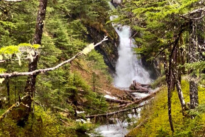 Wilderness and Wine Tasting out of Anchorage - FAQ