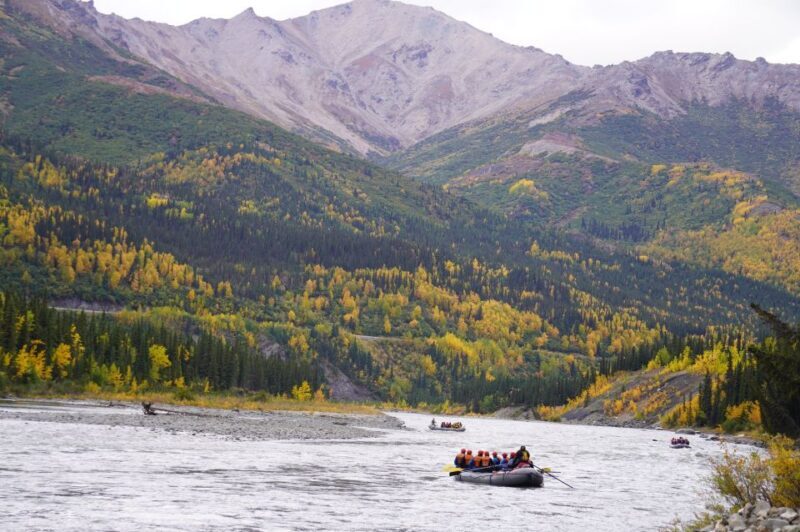 Wilderness: Denali National Park Class I-III Rafting Tour - Key Points