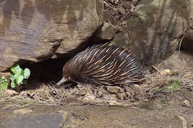 Wilderness kayak adventure with gourmet food - FAQ