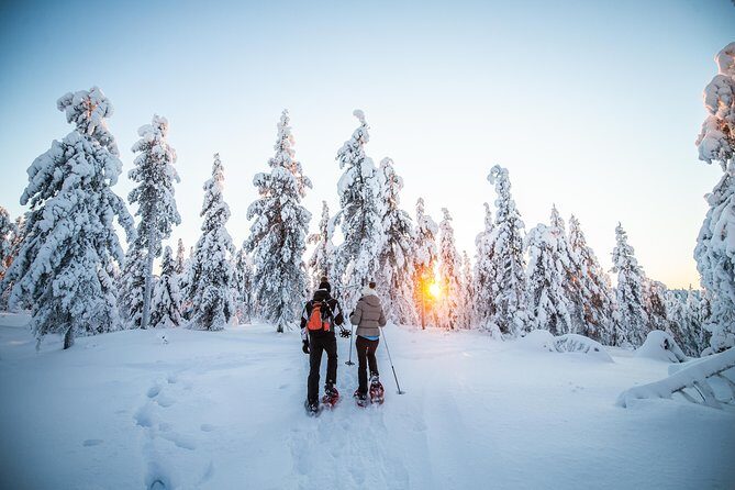 Wilderness snowshoe adventure - Wilderness Snowshoe Adventure in Rovaniemi: An Honest Review