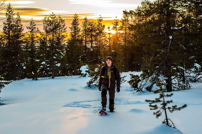 Wilderness snowshoe adventure - Who Is This Tour Best For?