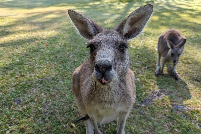 Wilderness, Waterfalls, Three Sisters BLUE MOUNTAINS PRIVATE TOUR - The Sum Up