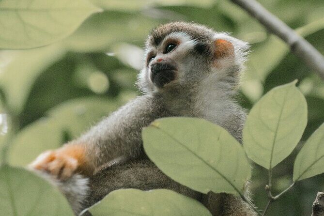 Wildlife and Ancient Expedition Tour in Teotihuacan Safari - Additional Details That Matter