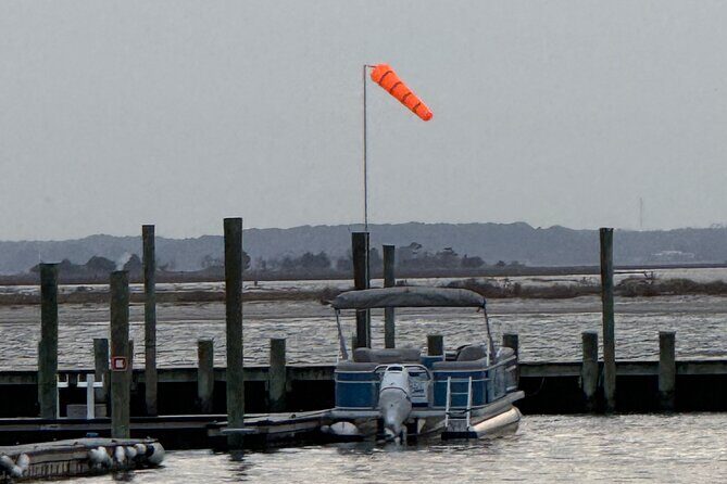 Wildlife Boat Tour with Wild Ponies and Dolphins in Chincoteague - Authentic Experiences from Reviewers
