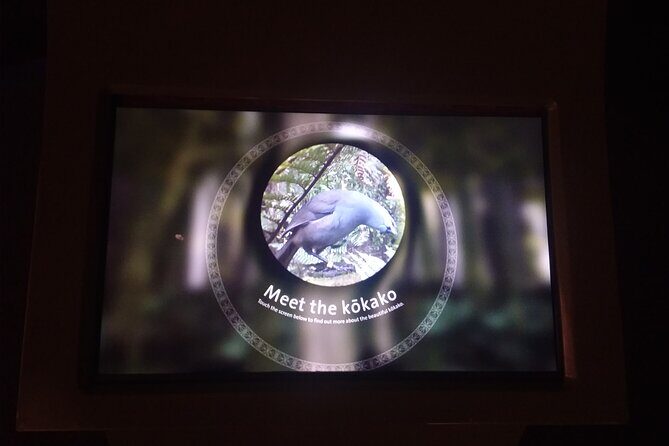 Wildlife Centre Experience - FAQ