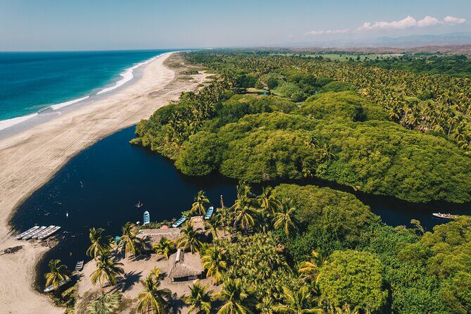 Wildlife Eco Tour on the coast of Oaxaca. - An In-Depth Look at the Oaxaca Wildlife Eco Tour