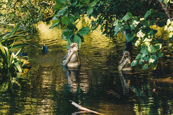 Wildlife Eco Tour on the coast of Oaxaca. - Final Thoughts: Who Is This Tour Best For?