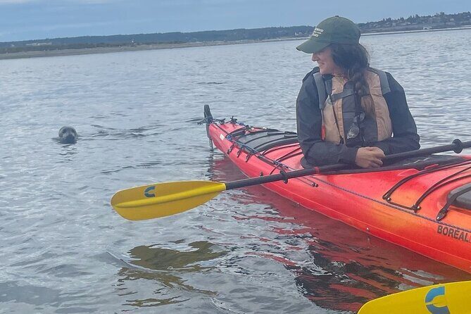 Wildlife Kayak Tour at Fort Flagler State Park - What to Expect on the Wildlife Kayak Tour