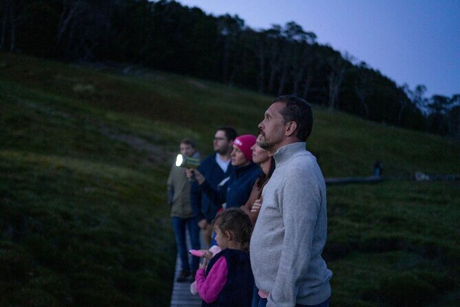 Wildlife Night Spotting at Cradle Mountain - Is This Tour Right for You?