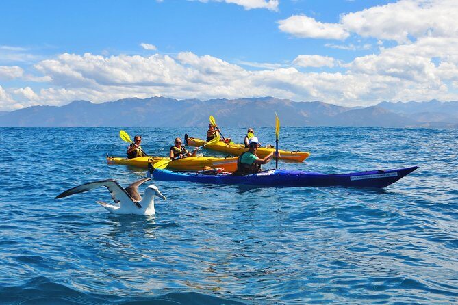 Wildlife Sea Kayaking Tour - Kaikoura - Wildlife Sea Kayaking Tour – Kaikoura