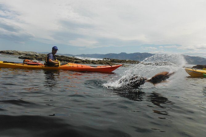 Wildlife Sea Kayaking Tour - Kaikoura - Final Thoughts