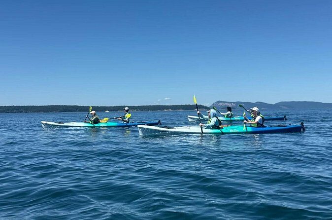 Wildlife Spotting Kayak Adventure on Orcas Island - Frequently Asked Questions